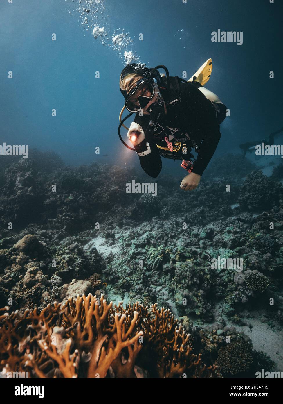 A vertical shot from the depths of the Red Sea and a scuba diver ...