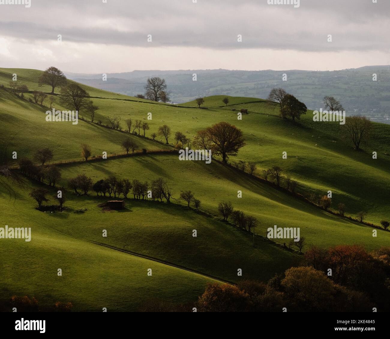 The beautiful view of the green fields on the hillside Stock Photo - Alamy