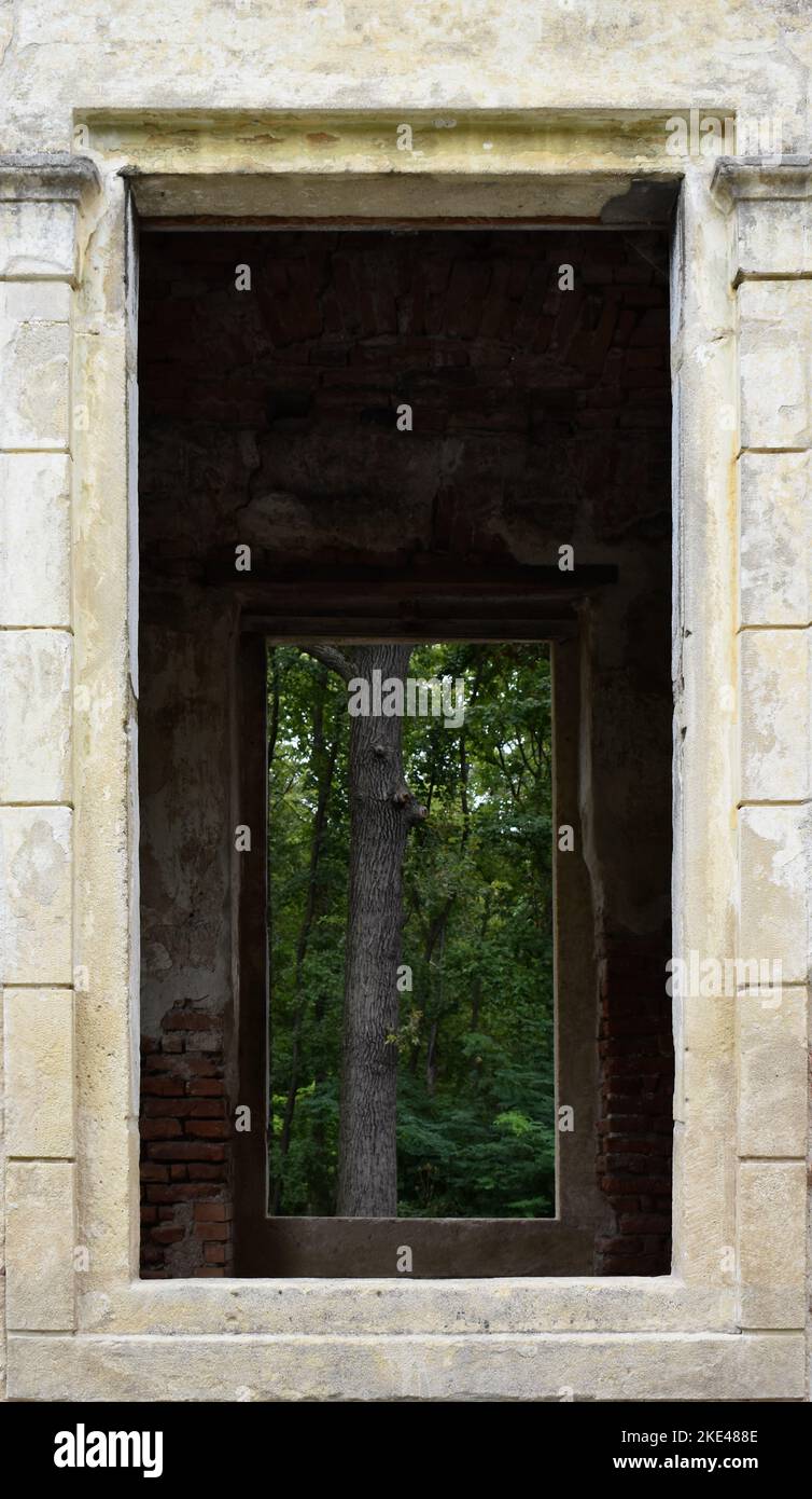 Old ruined windows overlooking trees Stock Photo - Alamy