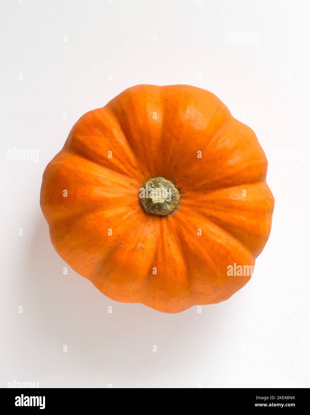 A top view of an orange pumpkin, studio photoshoot on a white ...