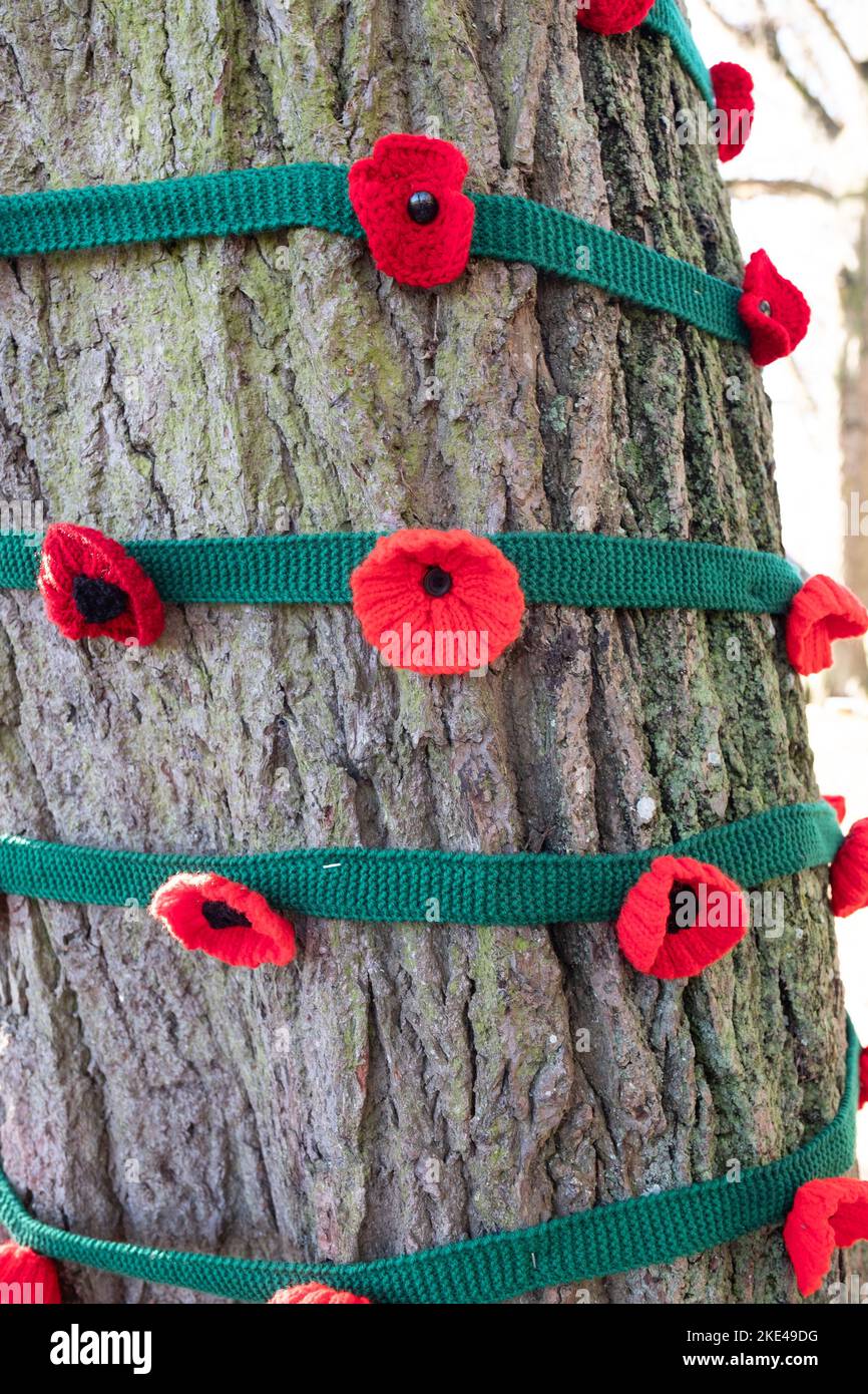 A knitted poppy wreath wrapped around a tree in the the graveyard at St ...