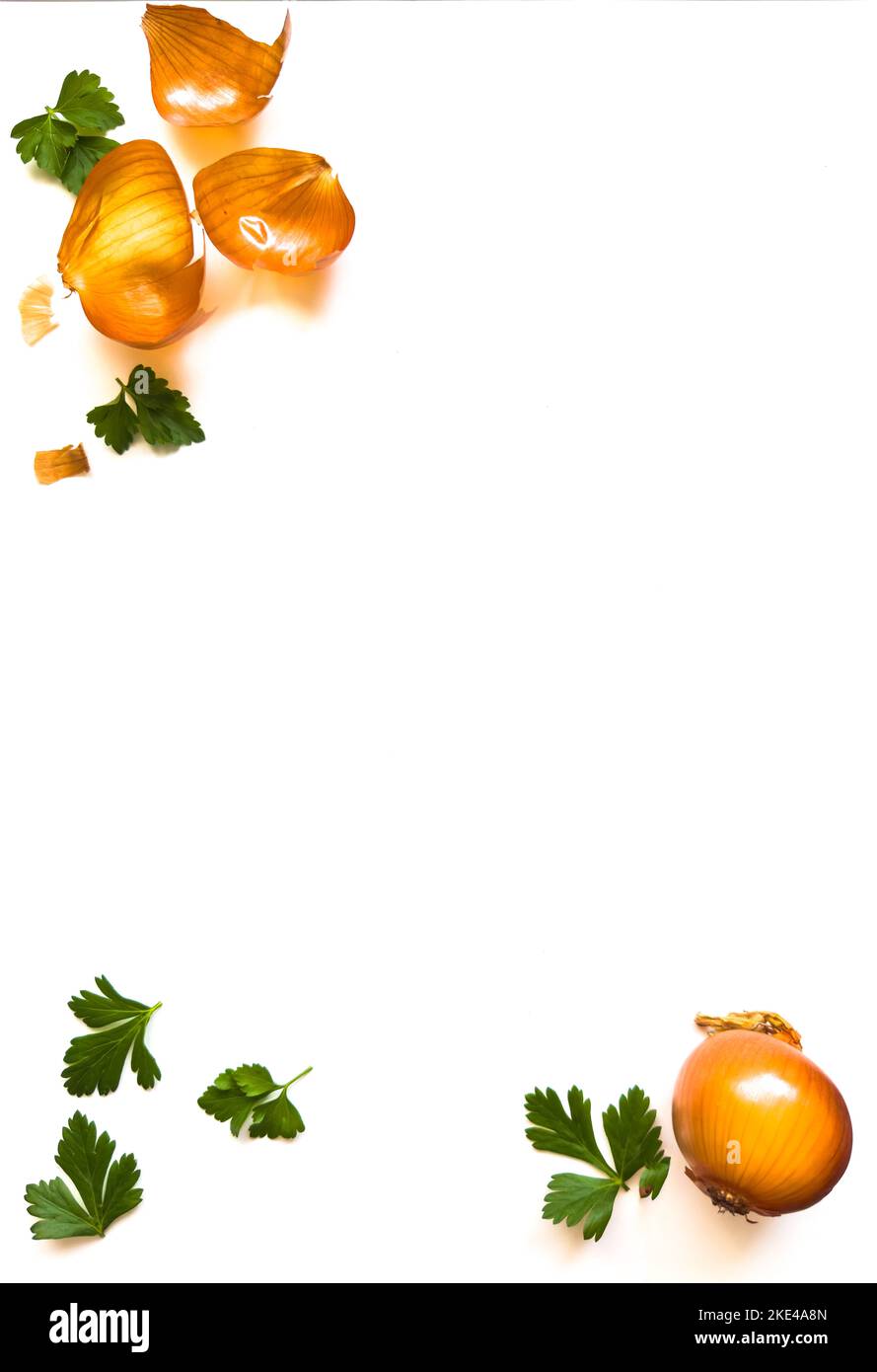 Some parsley leaves and onion peel on a white background with copyspace ...