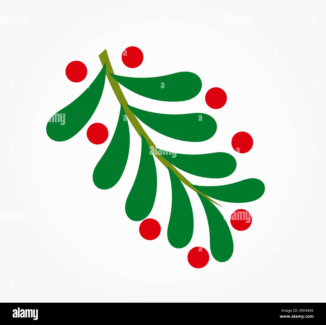 Mistletoe Branch Vector