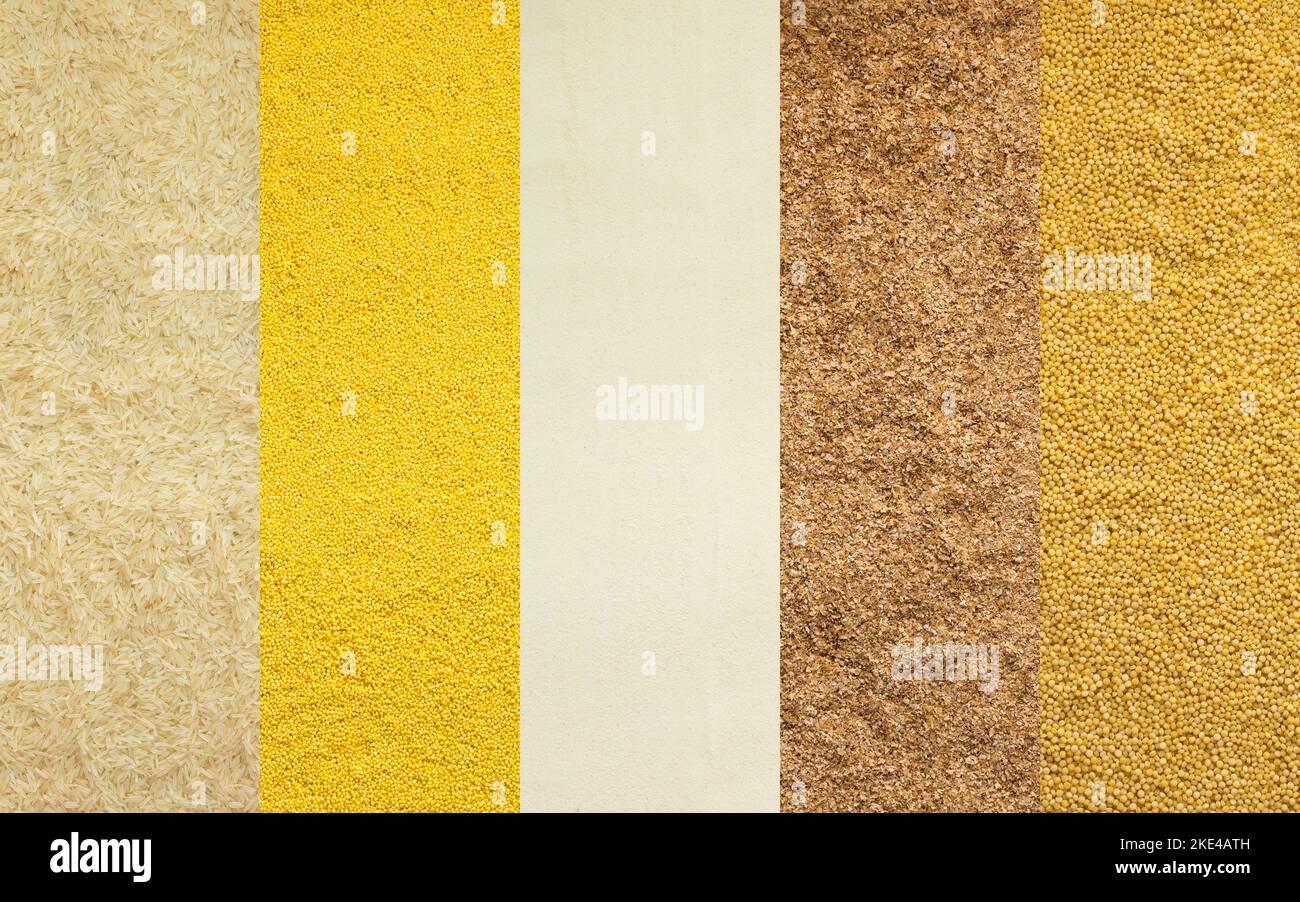 Various grain cereals banner, top view, white rice and millet, semolina ...