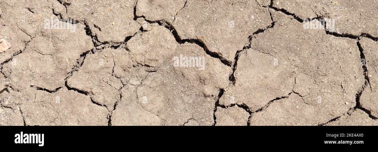 Dry cracked soil. Cracked and torn brown earth Stock Photo - Alamy