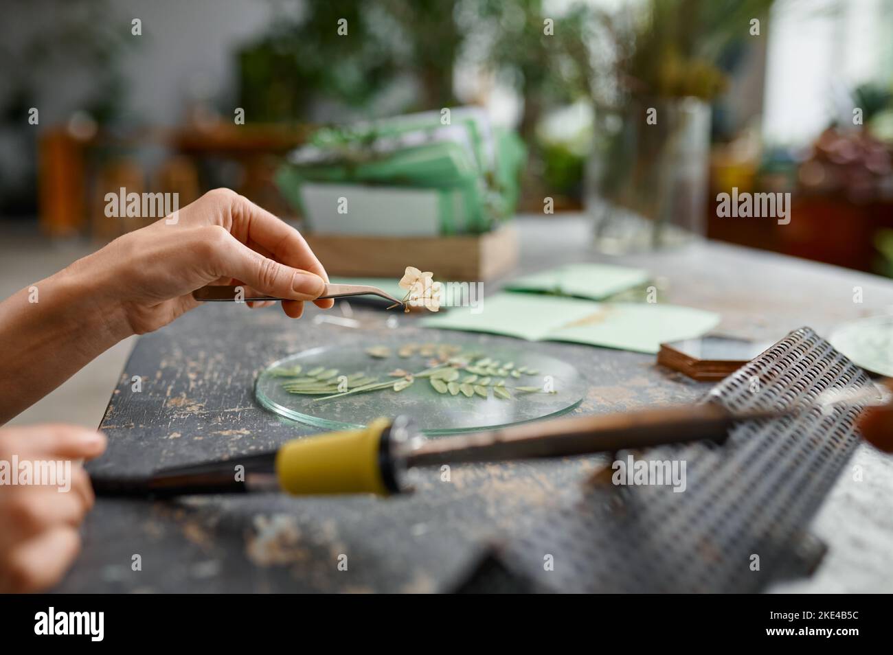 An artist making creative floral composition Stock Photo - Alamy