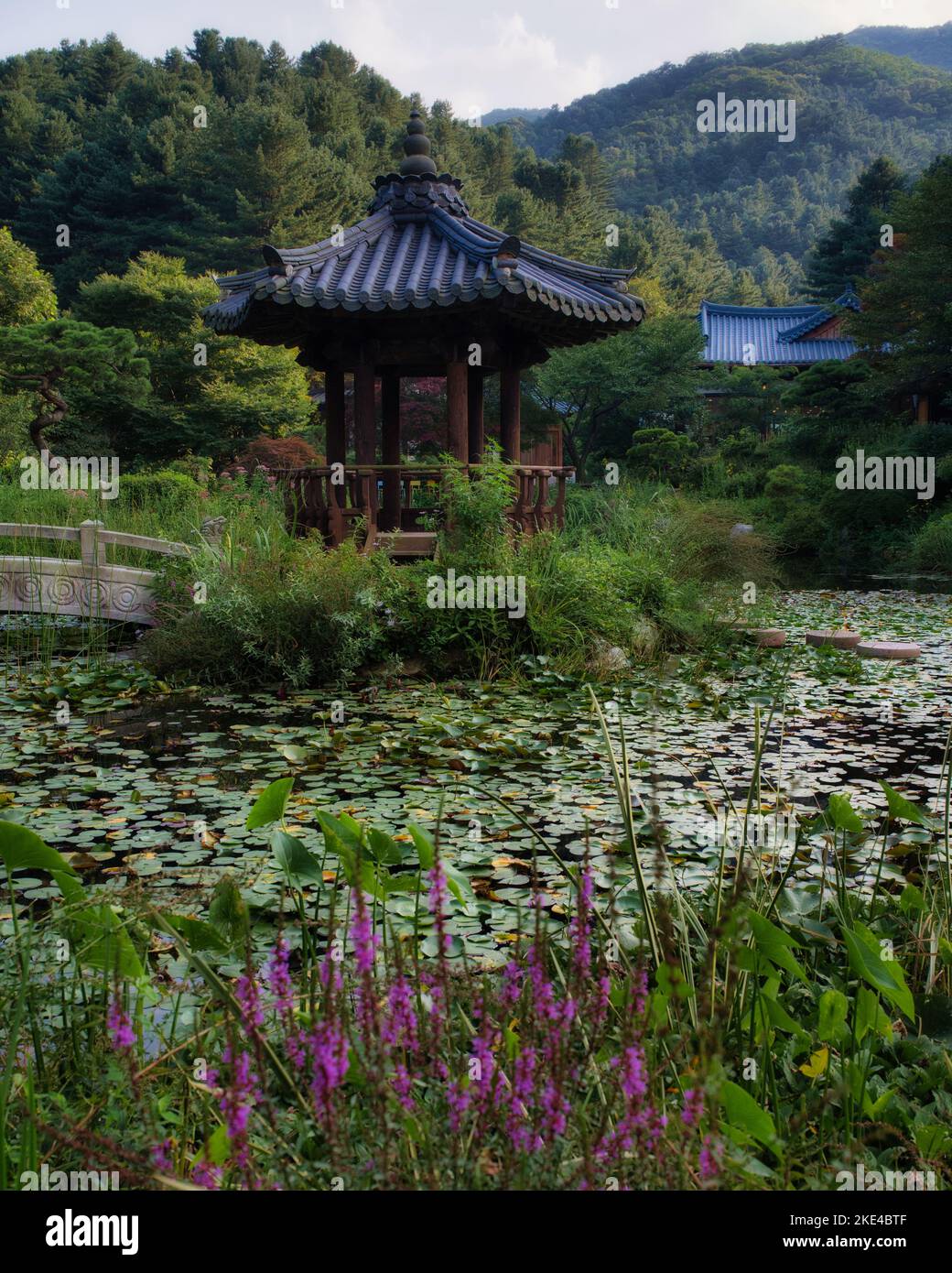 A traditional Korean wooden pavilion with pond and stone bridge in ...