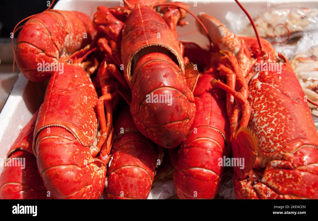 Harringay haringey hi-res stock photography and images - Alamy