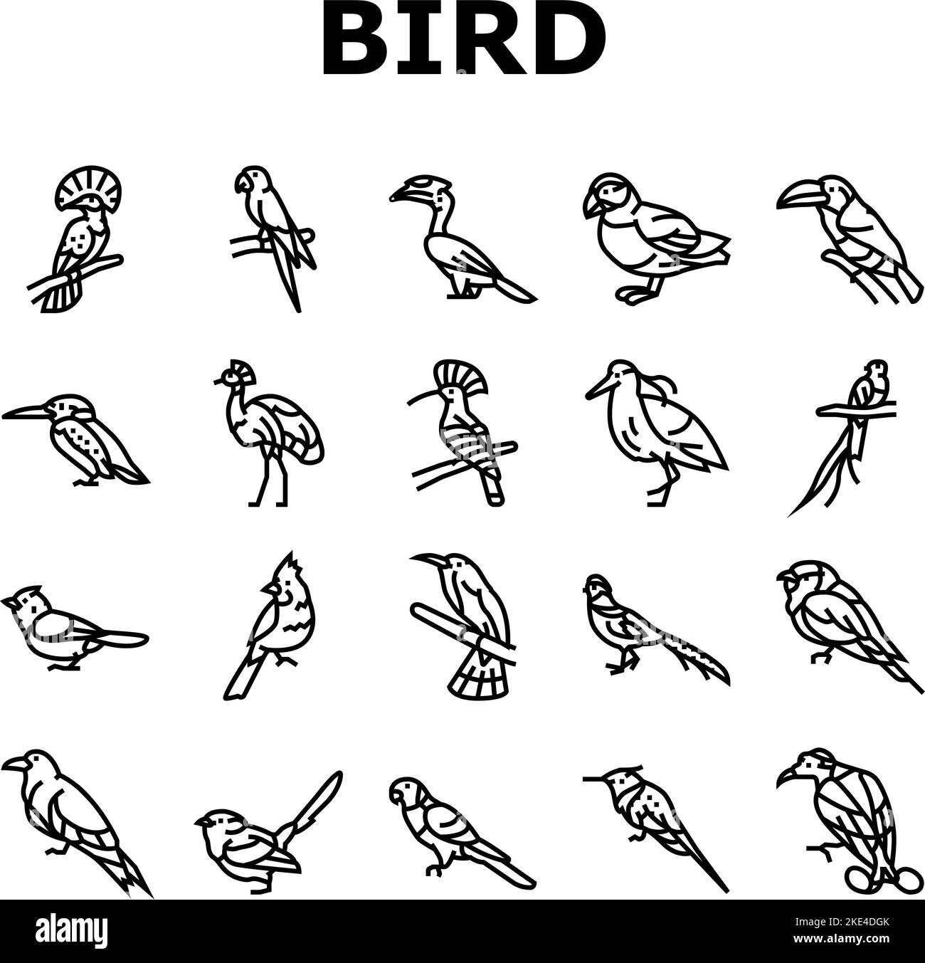 bird exotic animal nature wild icons set vector Stock Vector Image ...