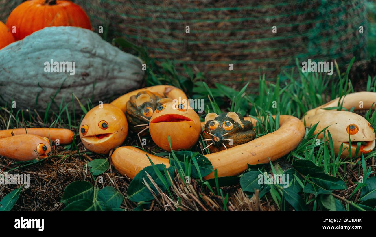 A vegetable carved snake Halloween design for scaring kids Stock Photo ...