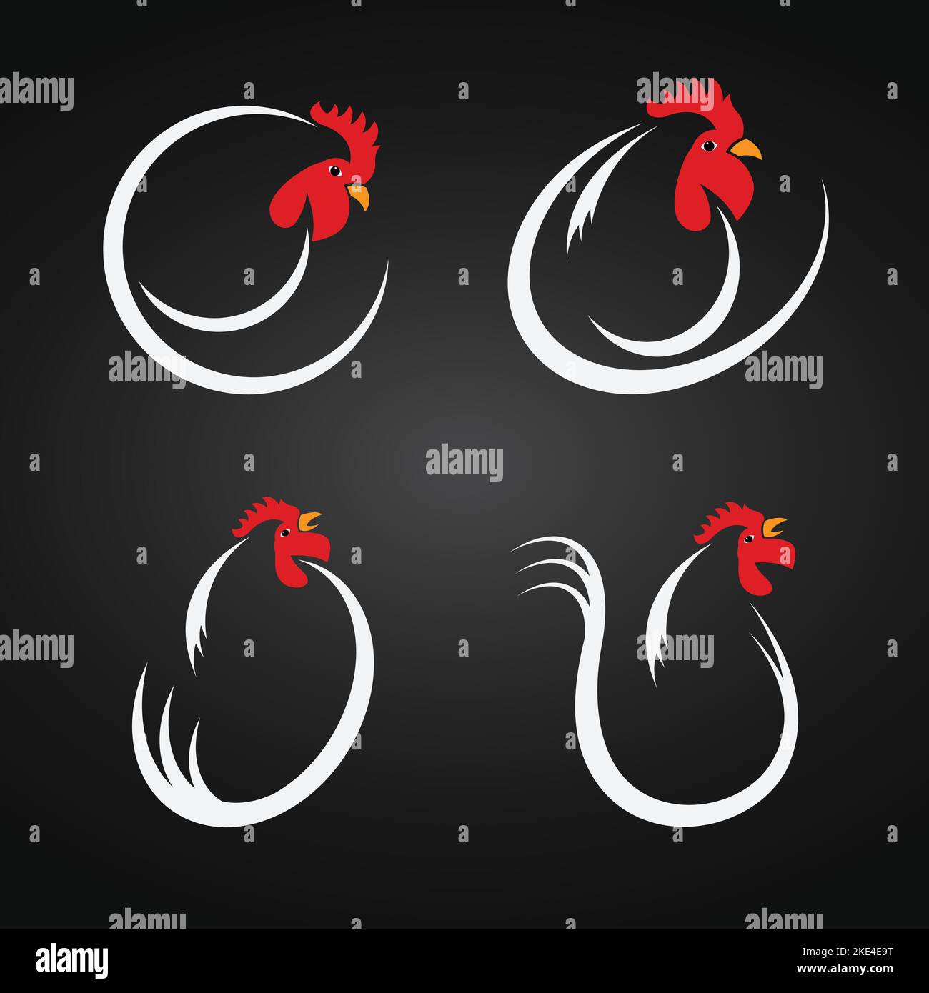 Vector image of chicken design on black background. Easy editable ...