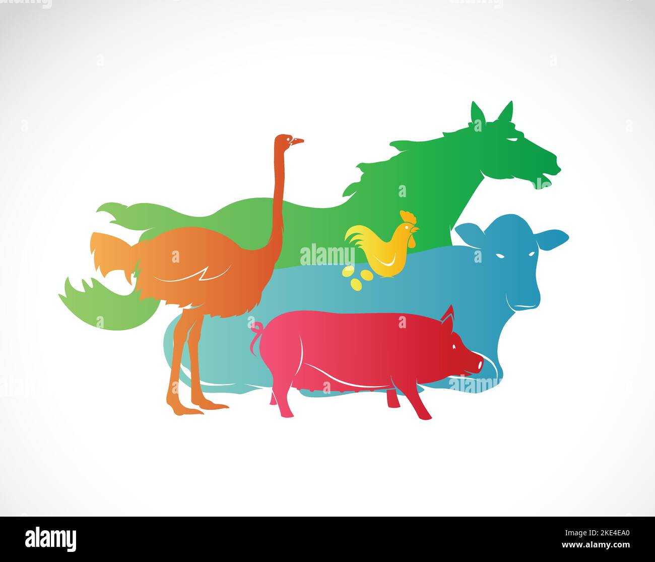 Vector farm animal set on white background, horse, pig, chicken ...