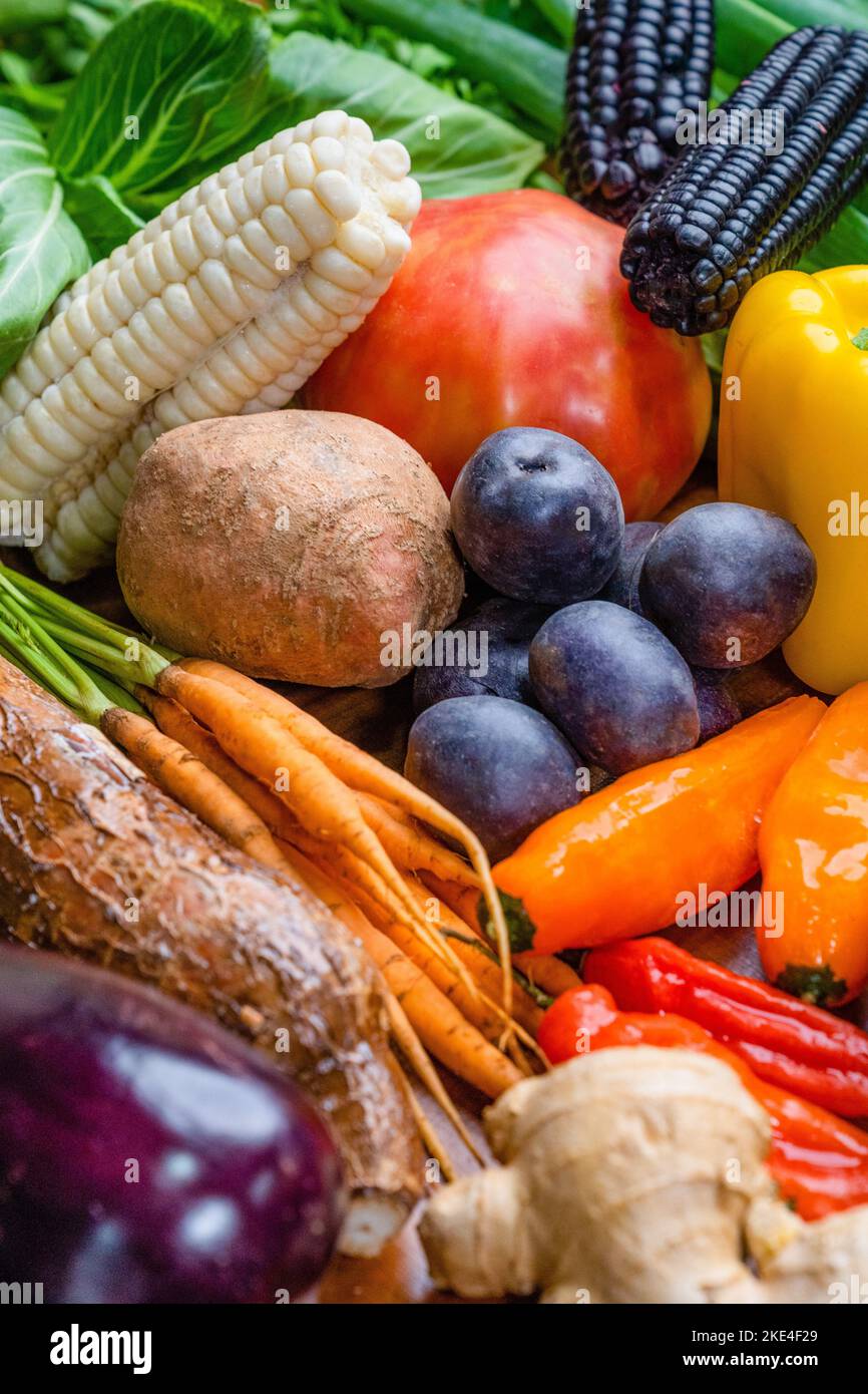 Assorted organic fresh vegetables used in Peruvian cuisine. Vertical ...