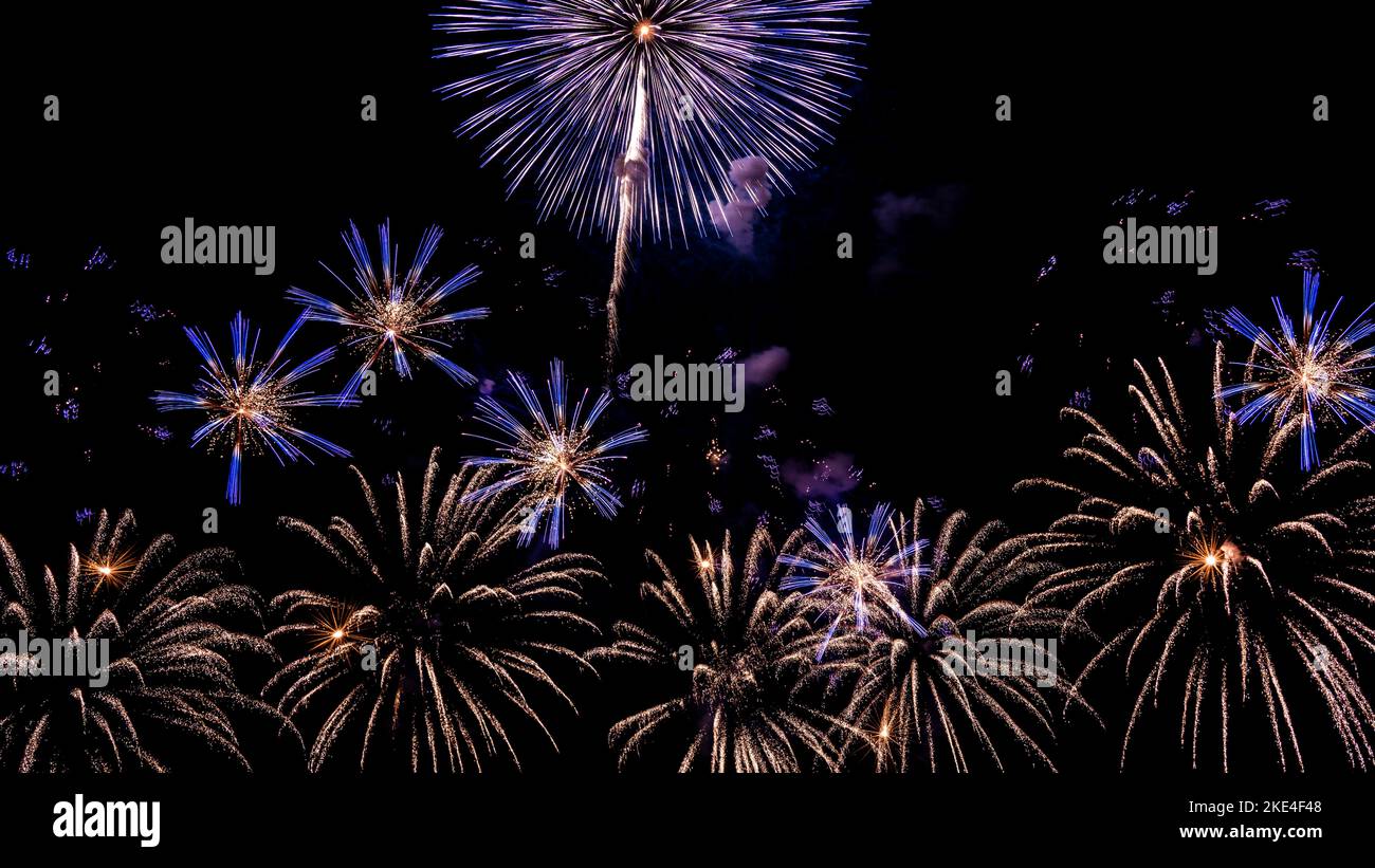 A scenic shot of the colorful fireworks against the night sky ...