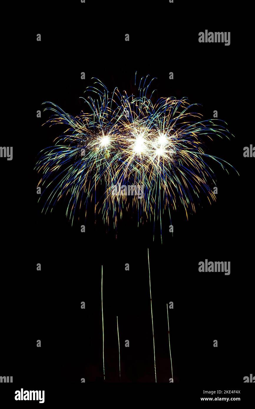 A scenic vertical shot of the colorful fireworks against the night sky ...