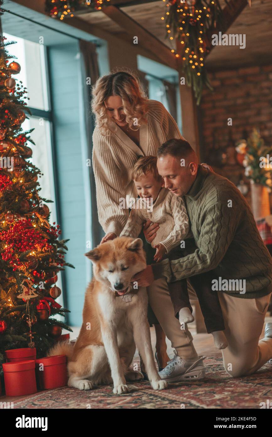 Akita inu wintertime hi-res stock photography and images - Alamy