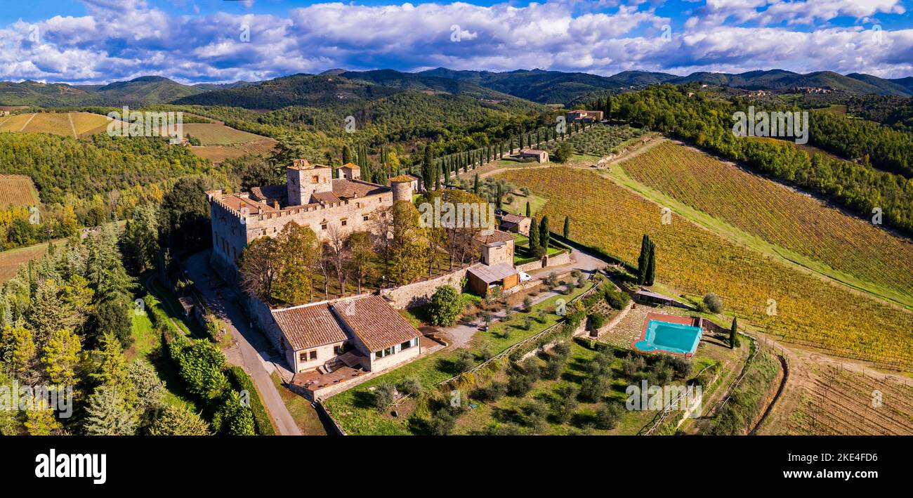 Italy, Tuscany landscape aerial drone view. Scenic vineyards and ...