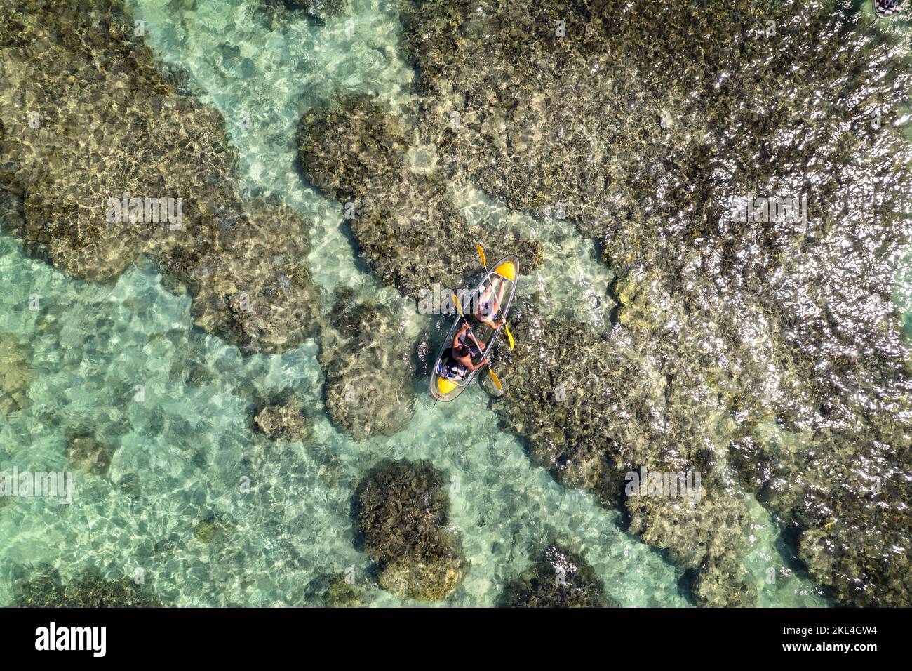 A top view of men kayaking in the transparent sea Stock Photo - Alamy