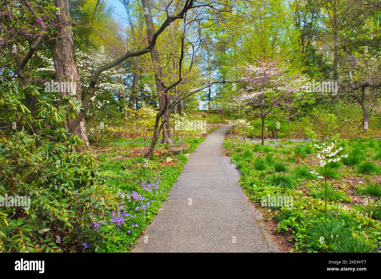Floral pathway hi-res stock photography and images - Alamy