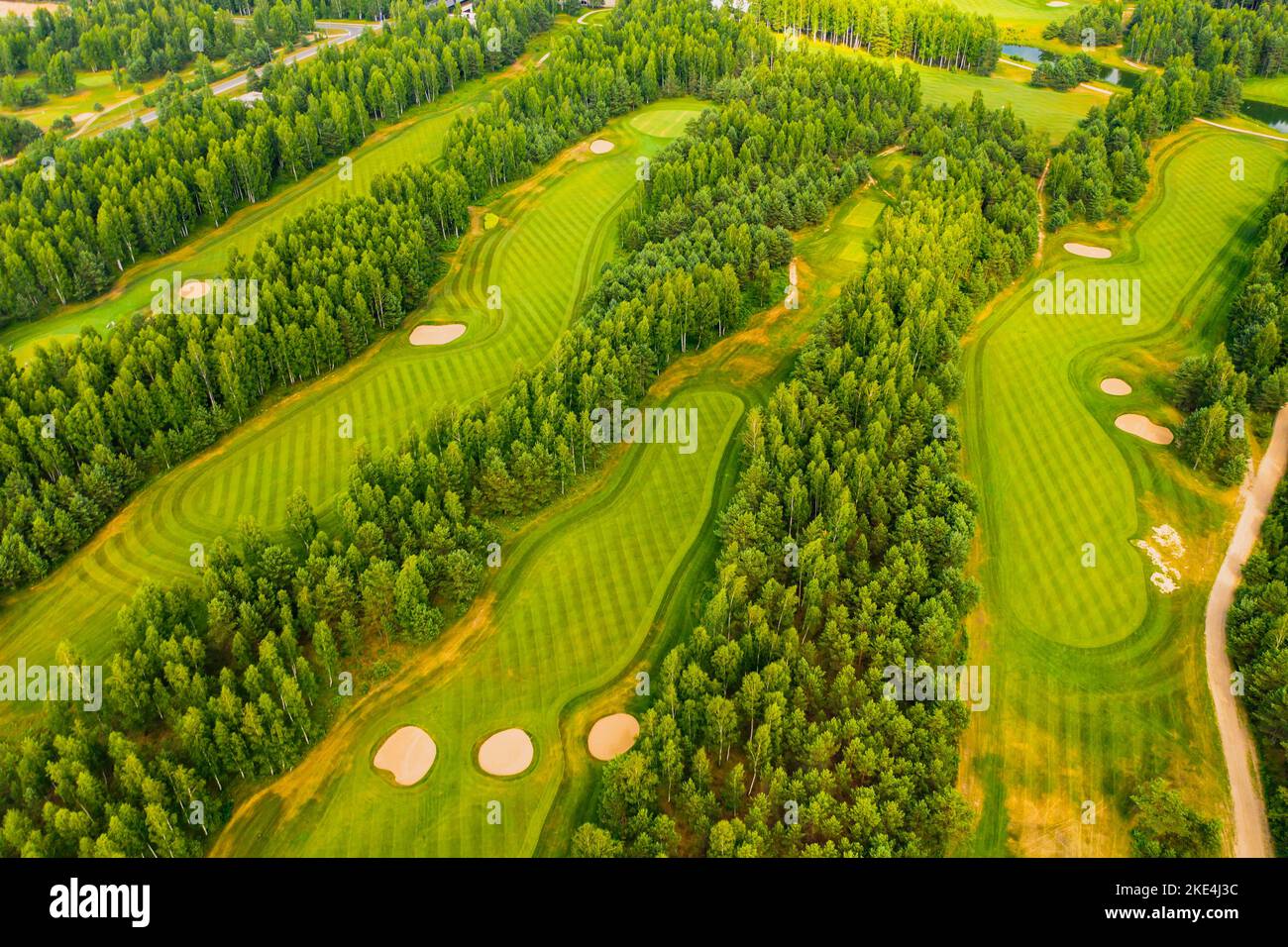 Top view of the golf course located in a wooded area Stock Photo - Alamy