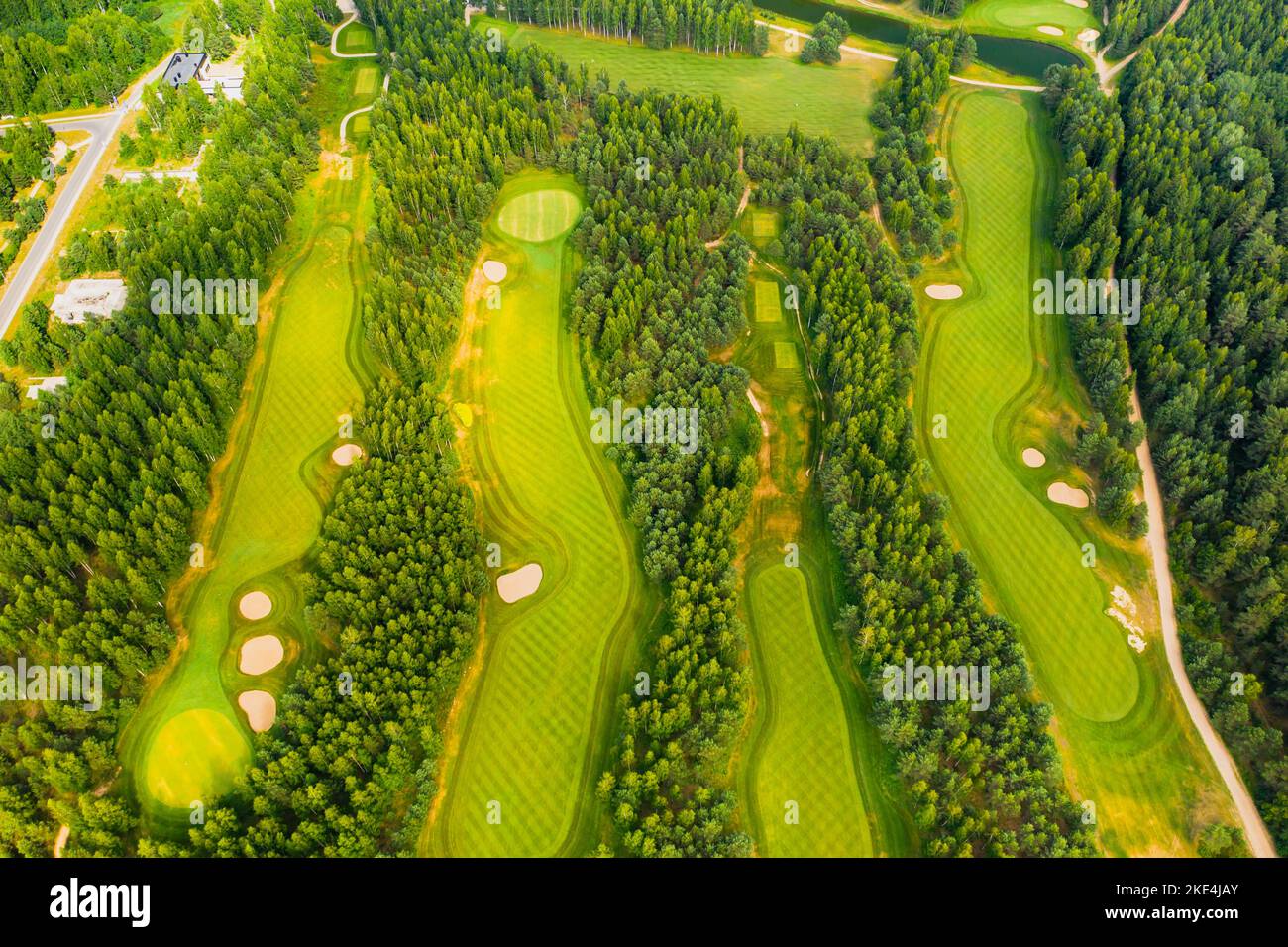 Top view of the golf course located in a wooded area Stock Photo - Alamy