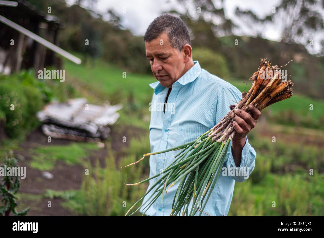 Man holding leeks hi-res stock photography and images - Alamy