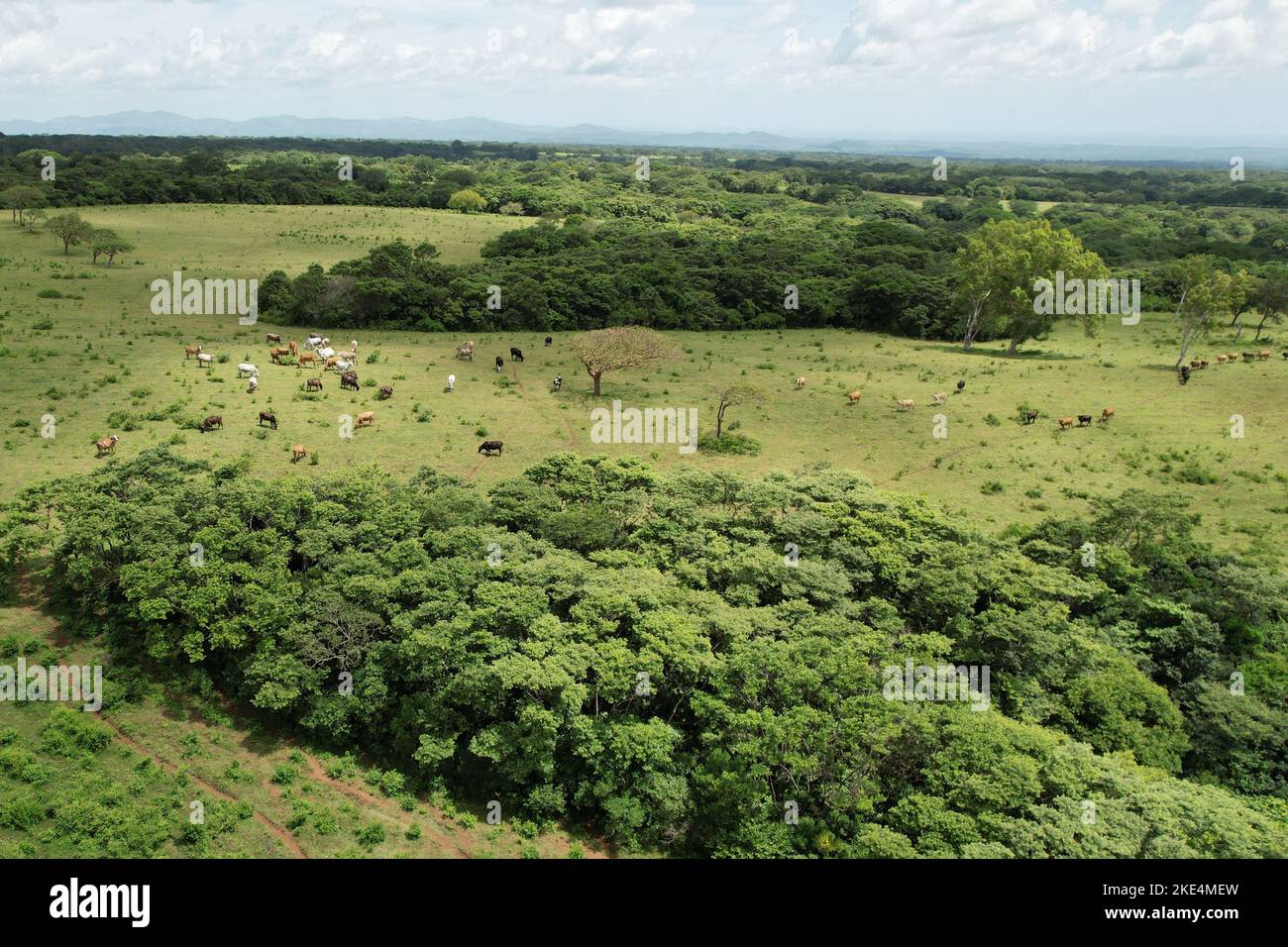 Aerial of farm hi-res stock photography and images - Alamy