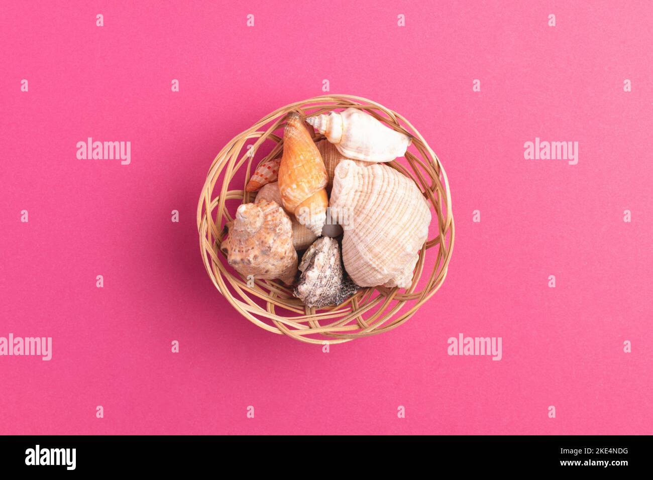 Top view of wicker basket with sea shells isolated on bright pink ...