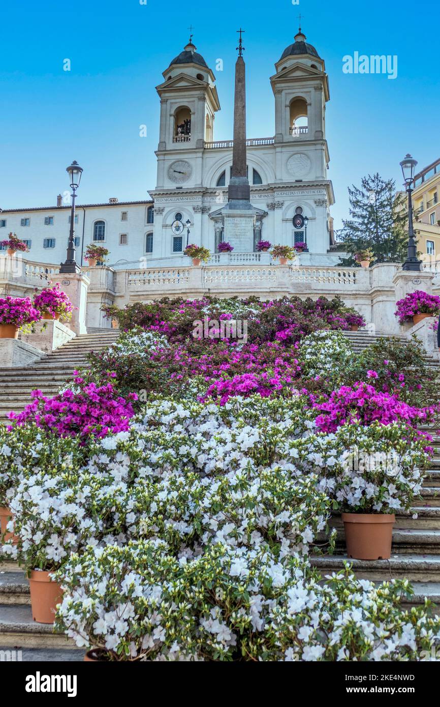 The famous Spanish Steps in Rome with beautiful flowers and no people ...