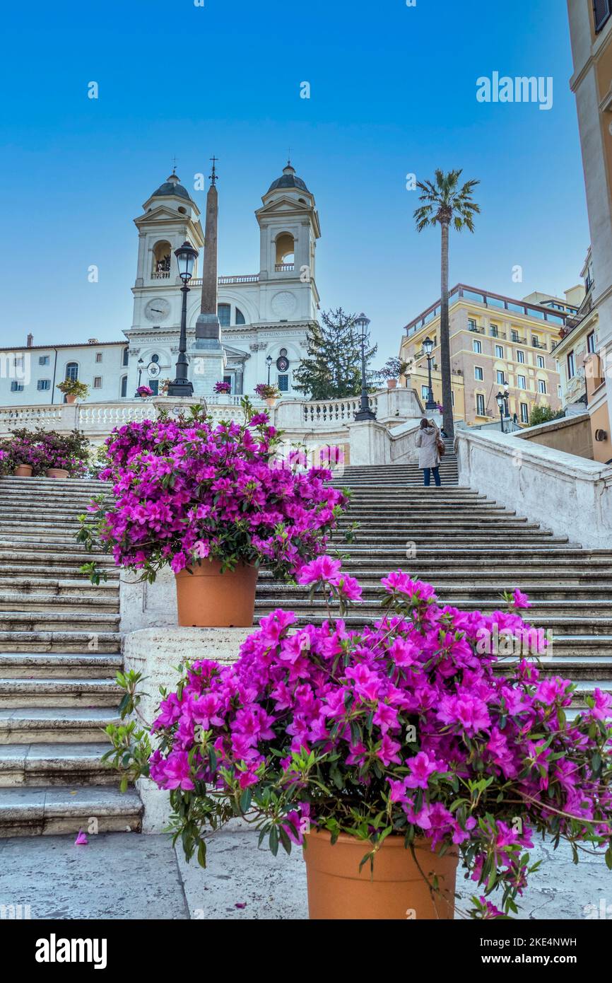 The famous Spanish Steps in Rome with beautiful flowers and no people ...