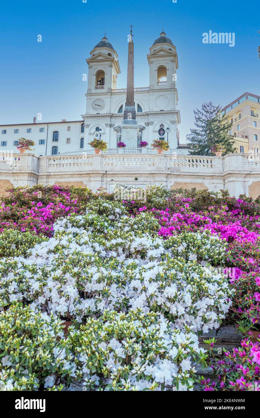 The famous Spanish Steps in Rome with beautiful flowers and no people ...