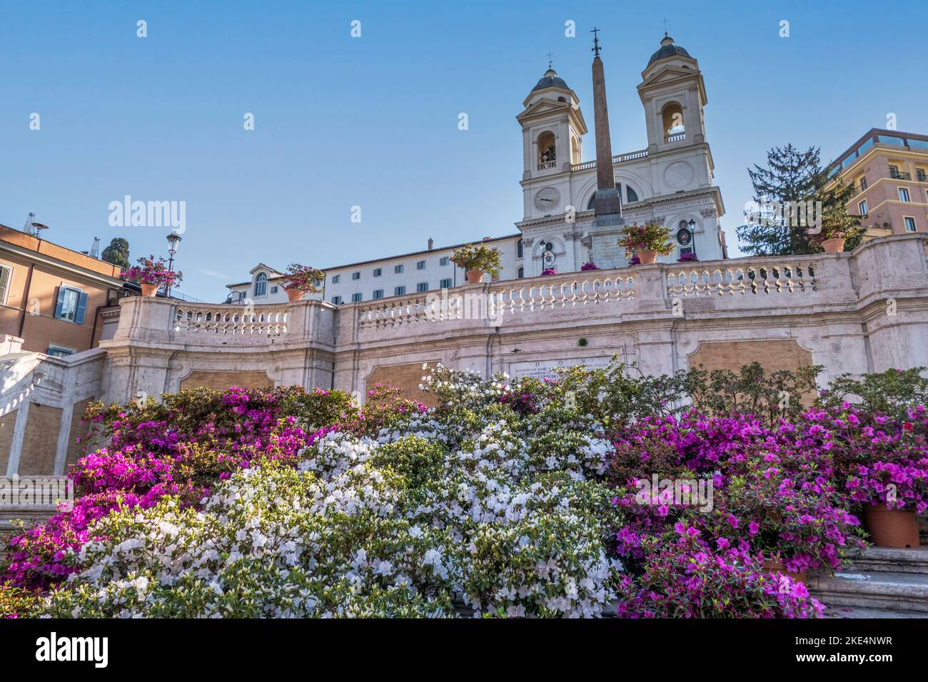 The famous Spanish Steps in Rome with beautiful flowers and no people ...