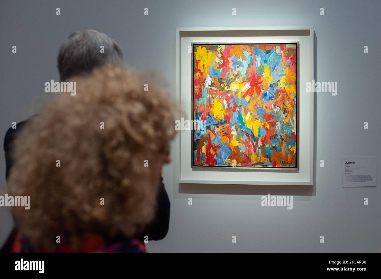 On Nov. 9, 2022 this lot item sold for over $55.3 million. Jasper Johns ...