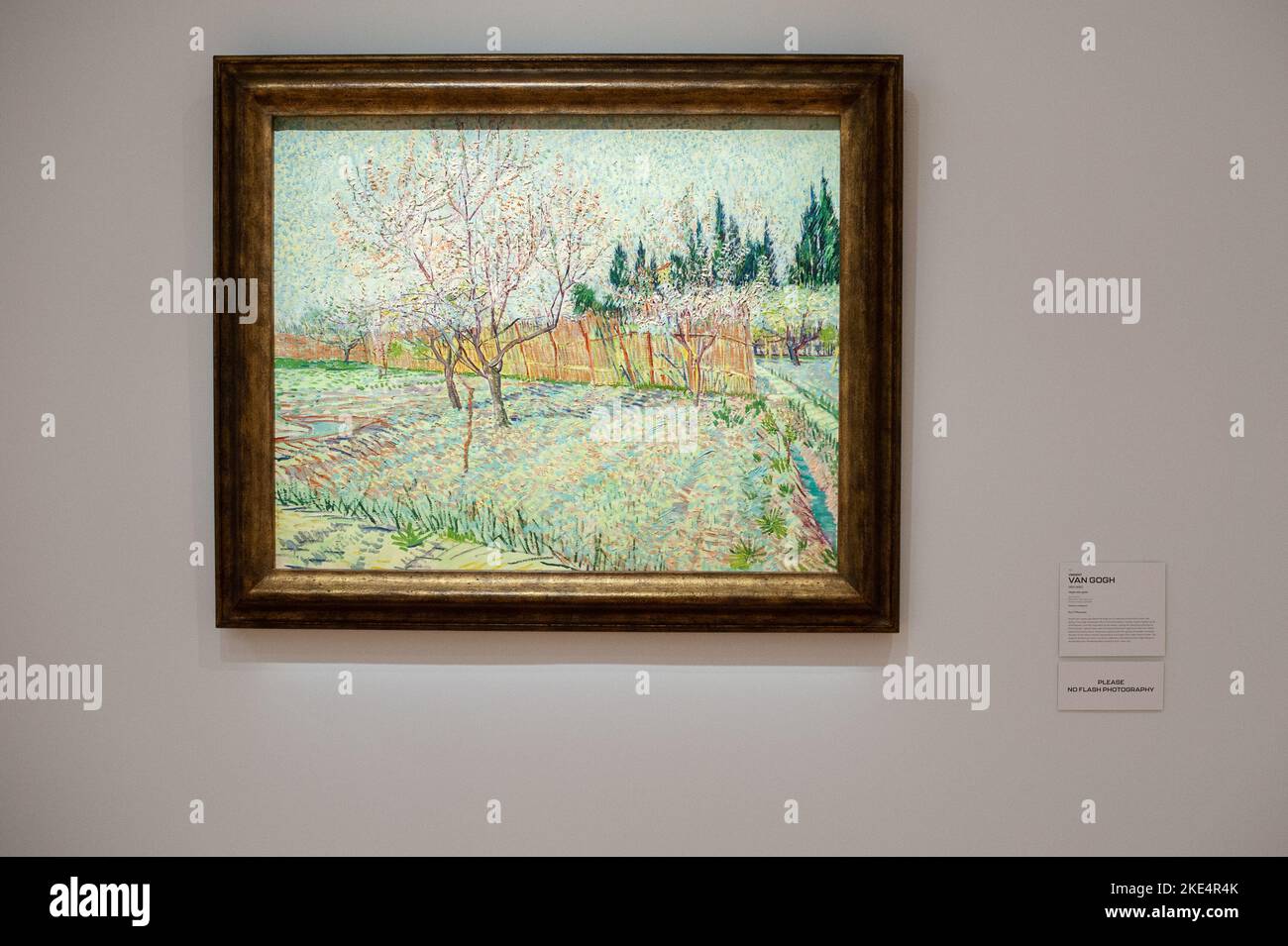 On Nov. 9, 2022 this lot item sold for an estimated $117.2 million and became the most expensive ...