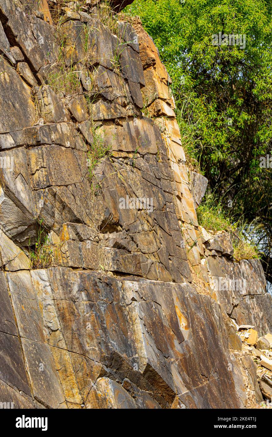 A vertical of a shale, limestone rock face with grasses growing on it ...