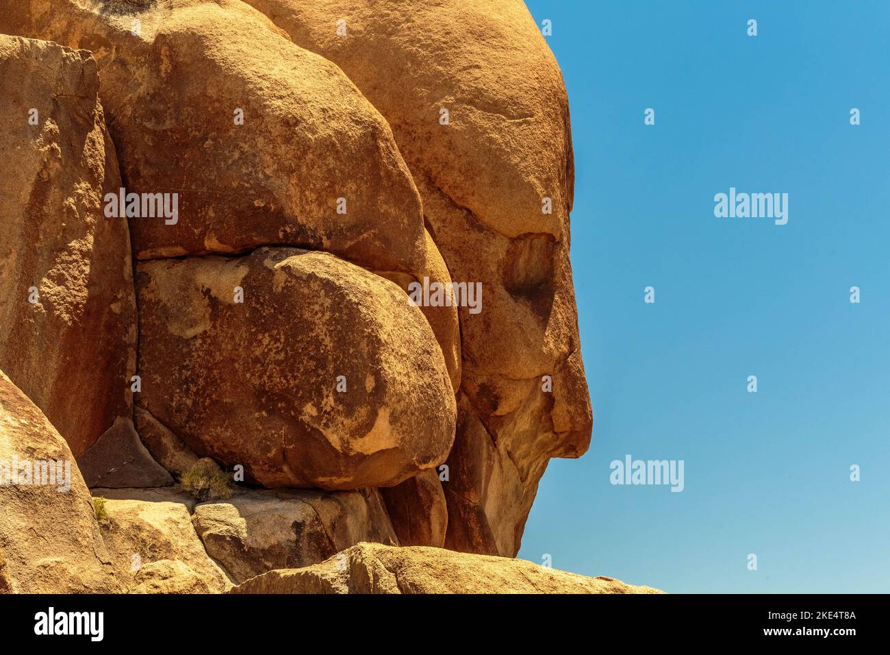 a sideview of a face in a rock at Joshua Tree National Park Stock Photo ...