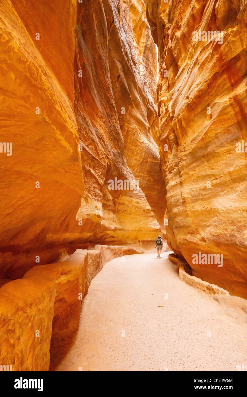 A Siq, the path through the rocks which is the entrance to Petra Jordan ...