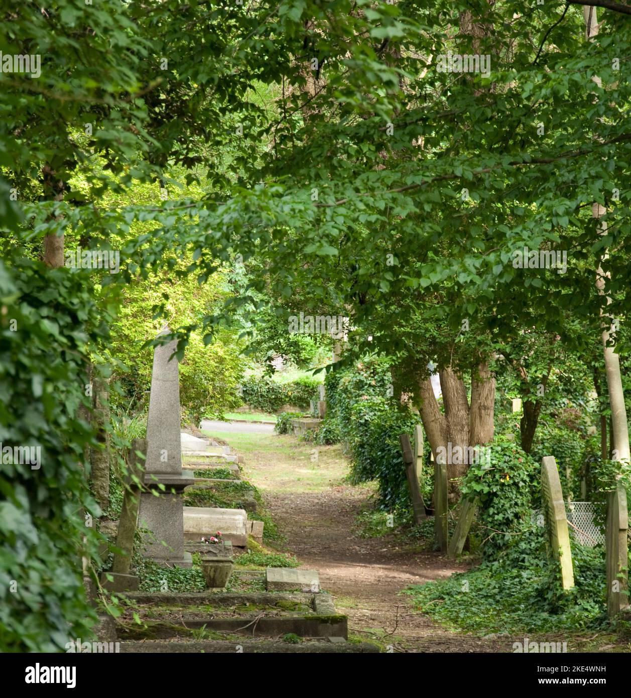 Path, Highgate Cemetery, Highgate, London, UK. Opened in 1839 to help ...