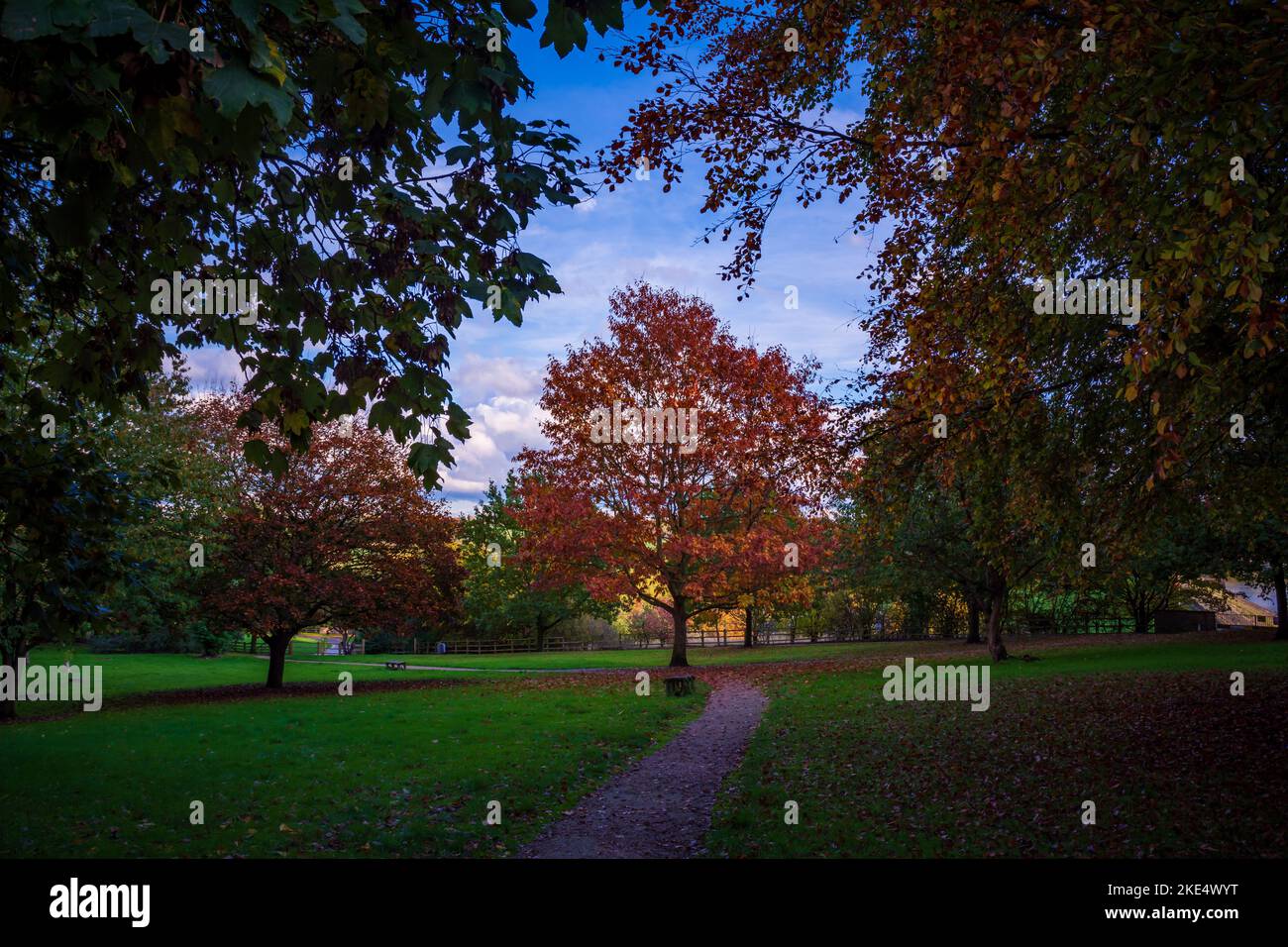 Colors of Autumn in South Derbyshire UK Stock Photo - Alamy