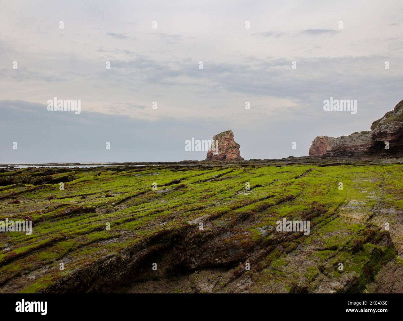 A green-covered rocky hill surface under the cloudy sky with a huge ...