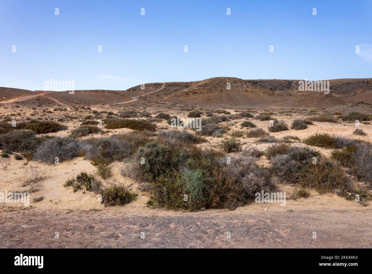 Barren volcanic landscape with dry plants and bushes in the Los ...
