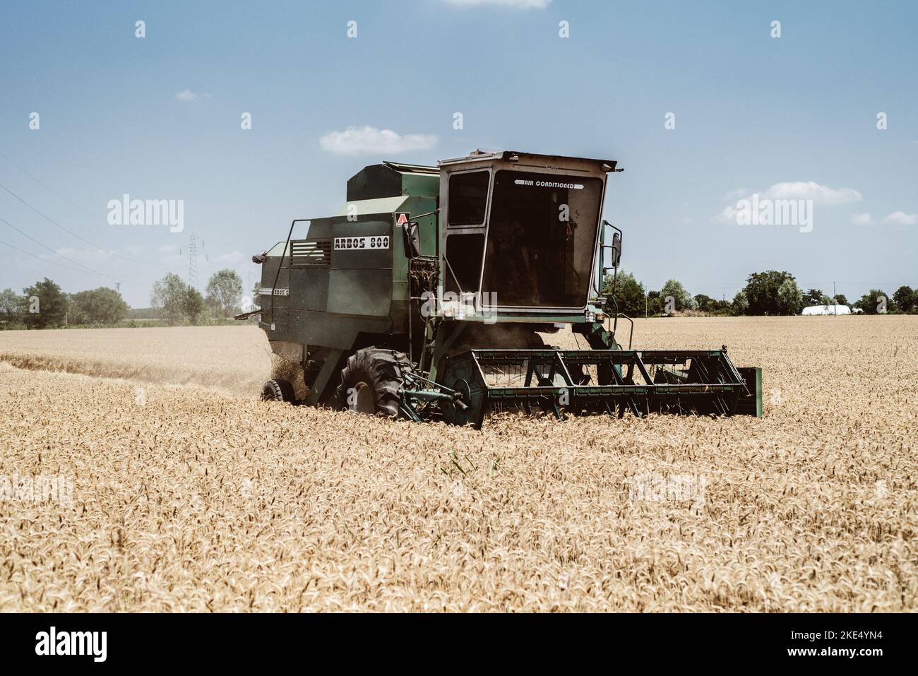 Wheat harvest in summer in Cuneo, Piedmont, Italy Stock Photo - Alamy