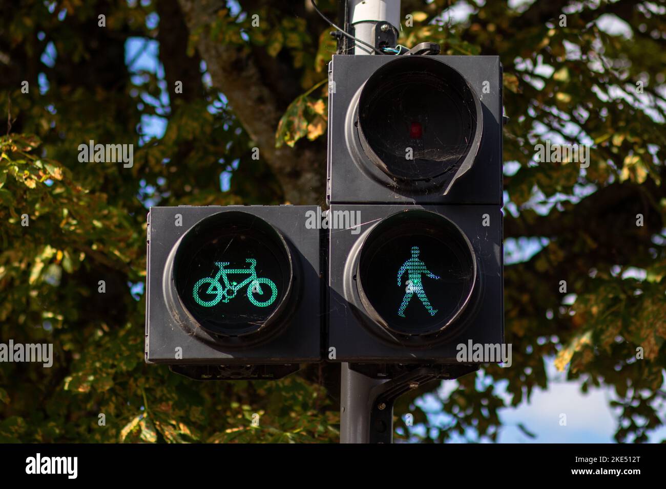 A closeup of green pedestrian and cyclist crossing lights Stock Photo ...