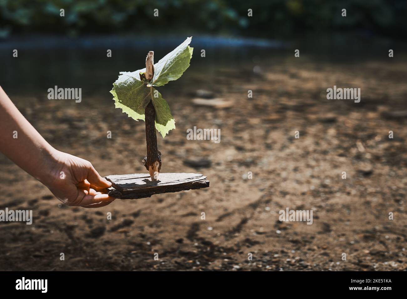 Child hand holding sail boat made with tree bark and green leaf ...
