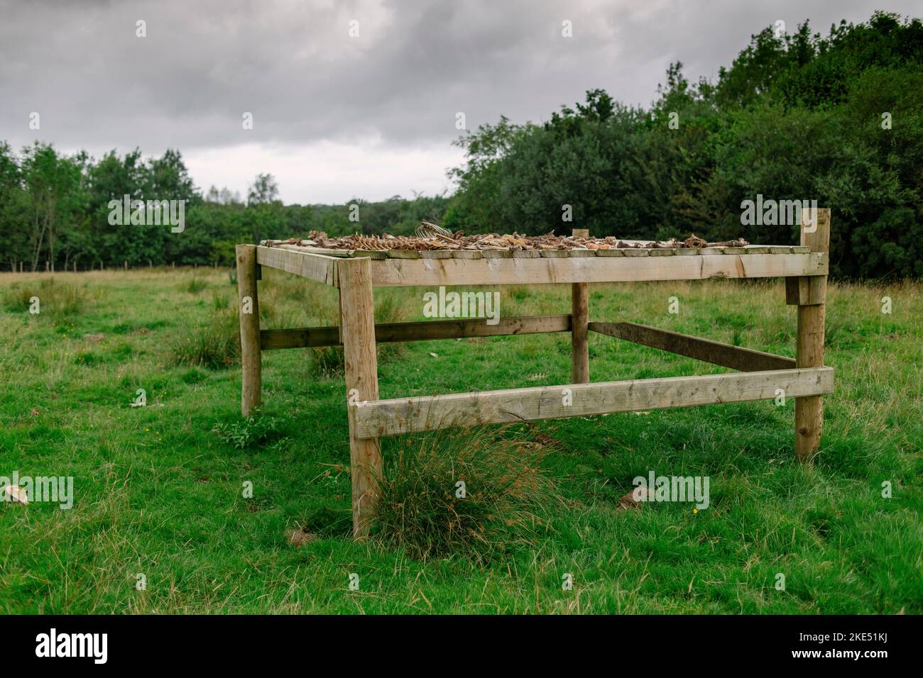 Picture By Jim Wileman - 13/08/21 Derek Gow pictured with a sky table ...