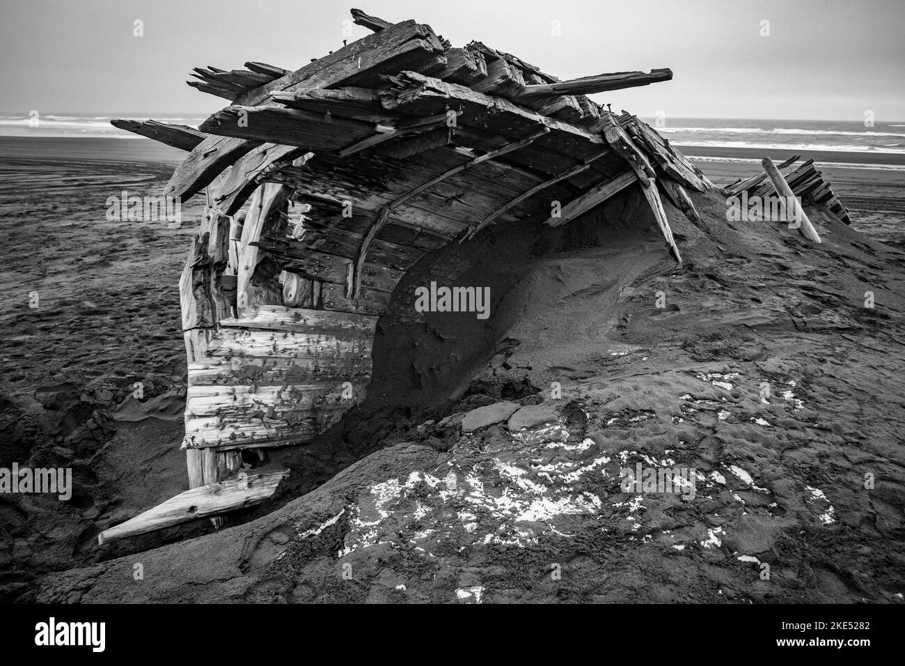 Black wrack Black and White Stock Photos & Images - Alamy