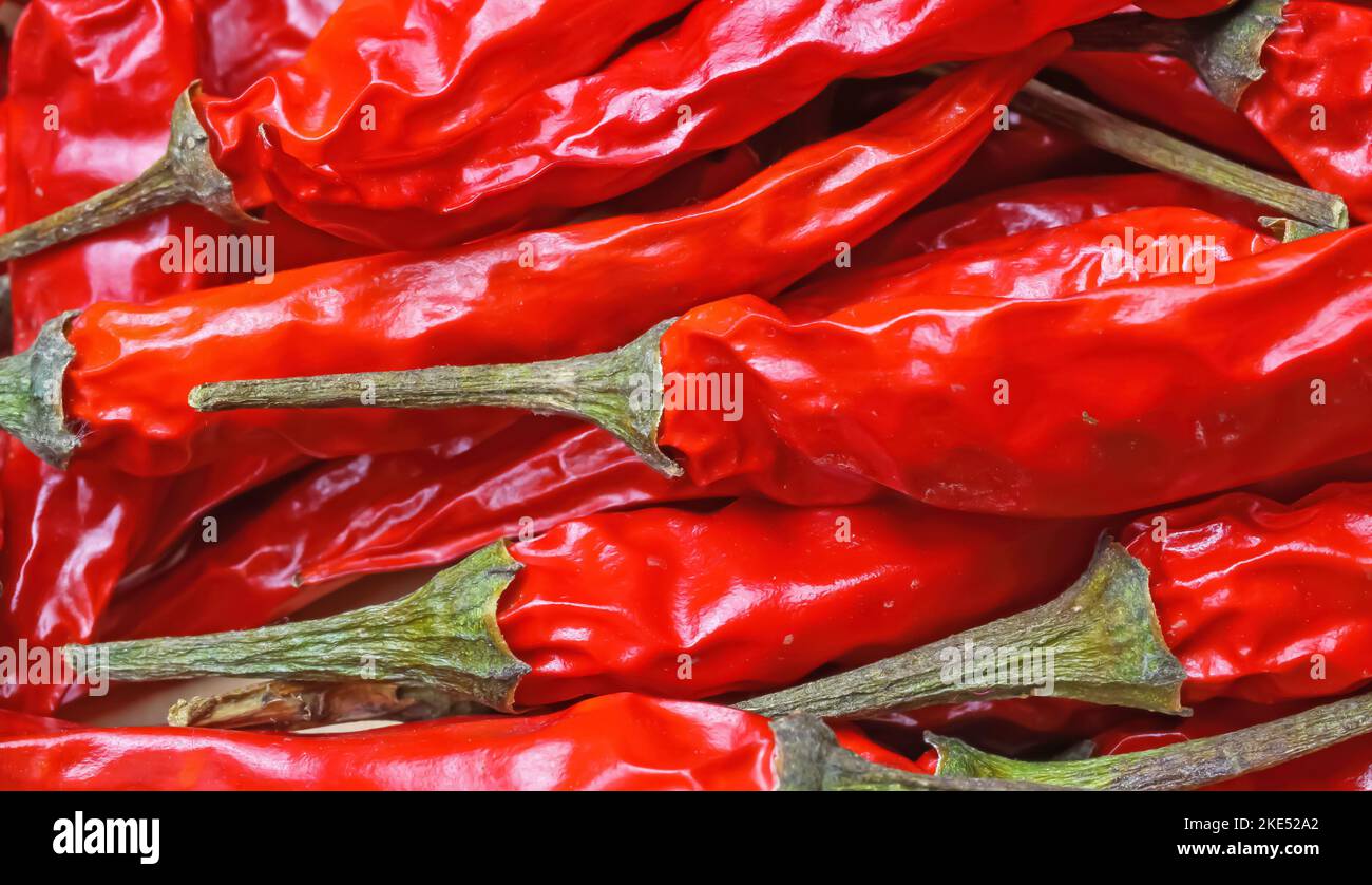 Full frame macro closeup of isolated shiny red spicy raw slightly ...