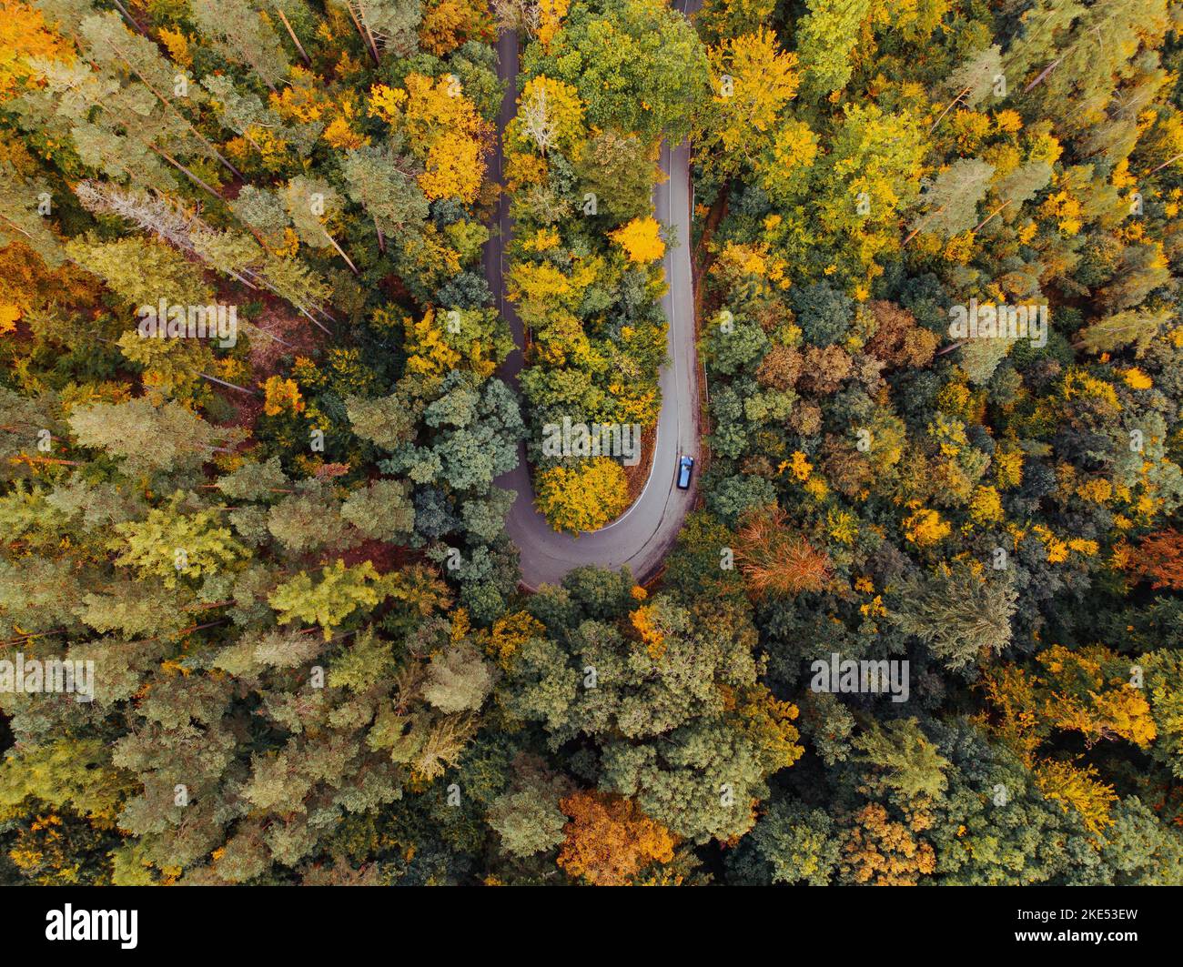 Aerial view of autumn forest with green, yellow and red trees. Wild ...