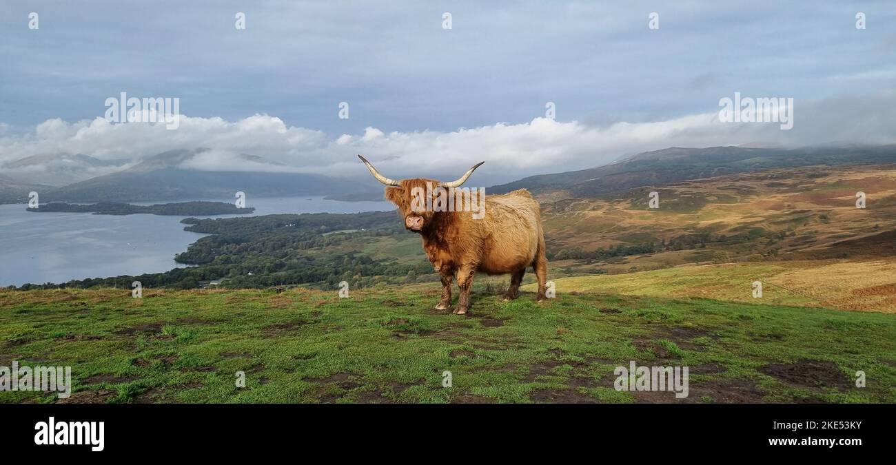 Conic hill sunset hi-res stock photography and images - Alamy