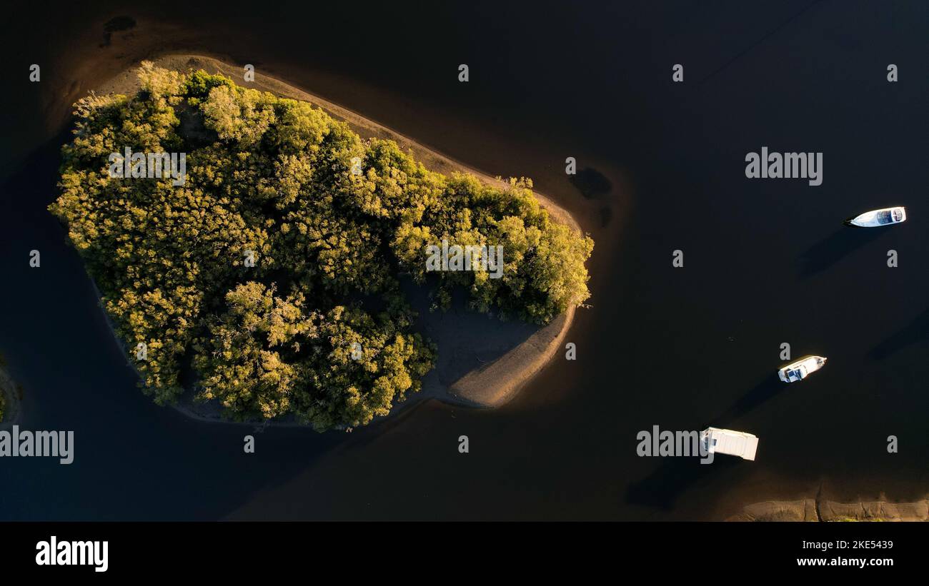 Aerial view of Woronora River surrounded by lush greenery in Sutherland ...